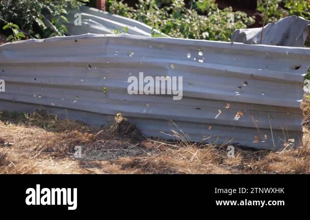 Fence destroyed Stock Videos & Footage - HD and 4K Video Clips - Alamy