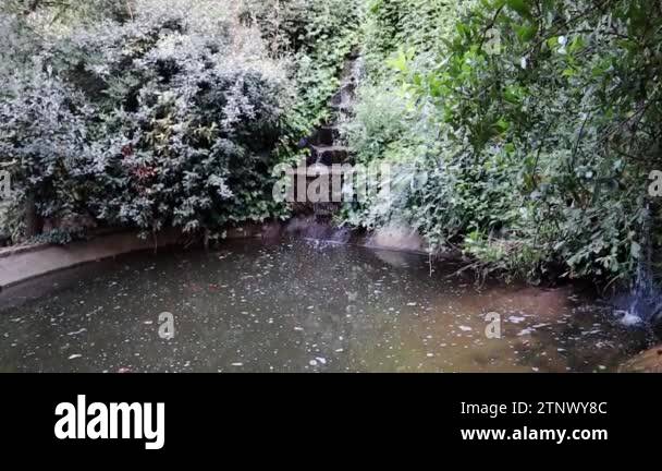 Stream waterfall in woods. Water falling down to calm surface of water ...