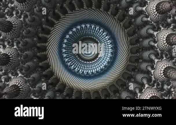 Eternal Morphing Beauty - Dynamic Fractal Evolution. Witness the mesmerizing journey of a ...