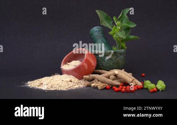 Ashwagandha Dry Root Medicinal Herb with Fresh Leaves, also known as ...