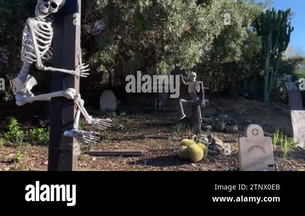 Halloween decor, outdoor garden. Scary skeleton, creepy decorations ...