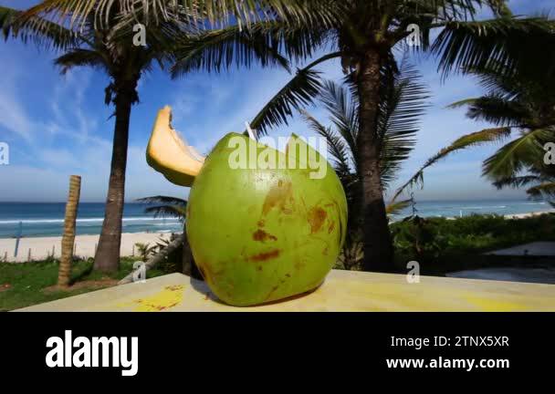 Coco da bahia Stock Videos & Footage - HD and 4K Video Clips - Alamy