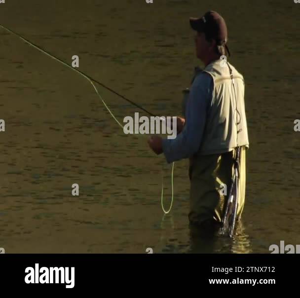 Waders in water Stock Videos & Footage - HD and 4K Video Clips - Alamy