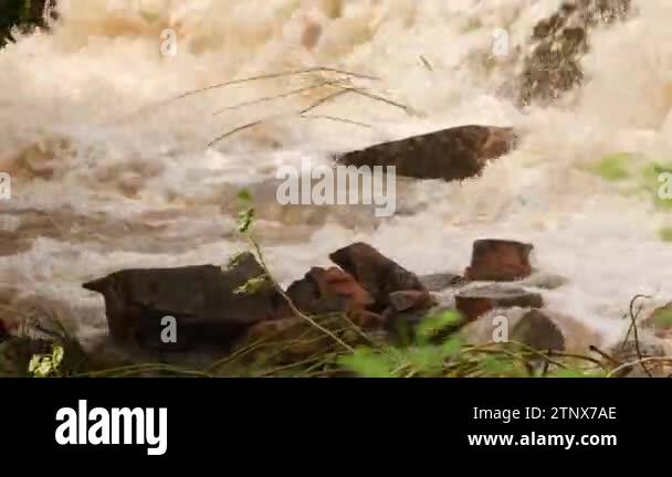 Waterlogged branch Stock Videos & Footage - HD and 4K Video Clips - Alamy