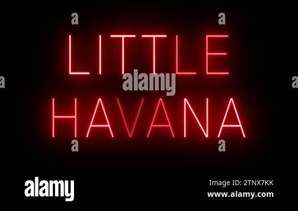 Red flickering and blinking animated neon sign for the Miami ...