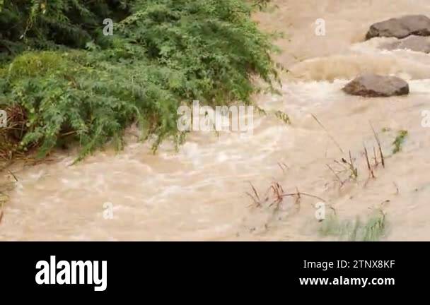 Body of water river Stock Videos & Footage - HD and 4K Video Clips - Alamy