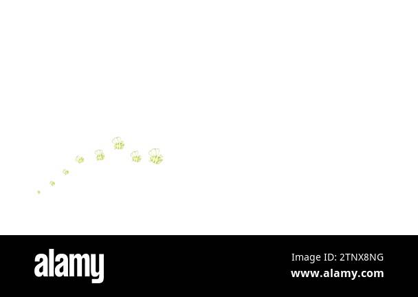 Left wing symbol Stock Videos & Footage - HD and 4K Video Clips - Alamy