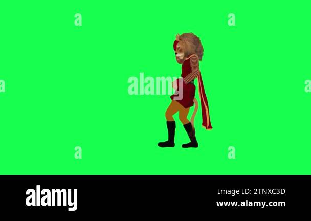 3D animated lion walking around being disturbed by insects, isolated ...