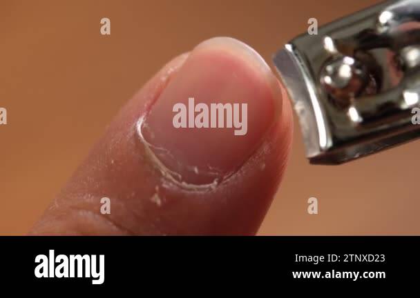 Detailed intricacies Stock Videos & Footage - HD and 4K Video Clips - Alamy