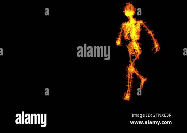 Fire skeleton Stock Videos & Footage - HD and 4K Video Clips - Alamy