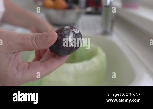 Sorting at home Stock Videos & Footage - HD and 4K Video Clips - Alamy