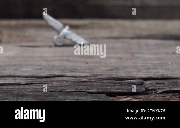 Military nazi swastika party Stock Videos & Footage - HD and 4K Video ...