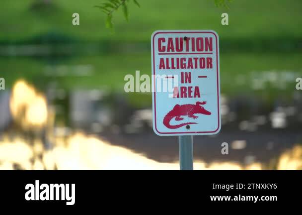 Crocodile habitat warning sign Stock Videos & Footage - HD and 4K Video ...