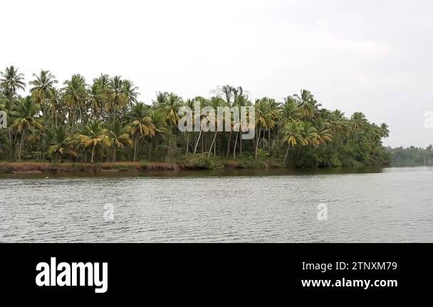 Goa river Stock Videos & Footage - HD and 4K Video Clips - Alamy