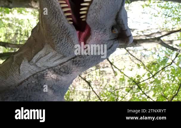 Vertical animal image Stock Videos & Footage - HD and 4K Video Clips ...