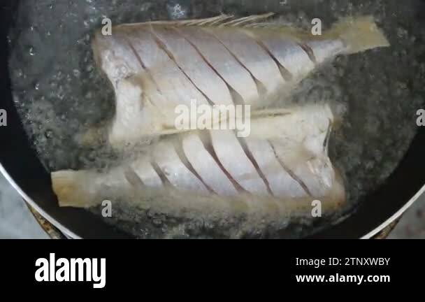 Fired fish Stock Videos & Footage - HD and 4K Video Clips - Alamy