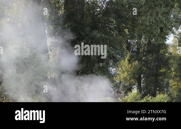 Smoke of the fire Stock Videos & Footage - HD and 4K Video Clips - Alamy