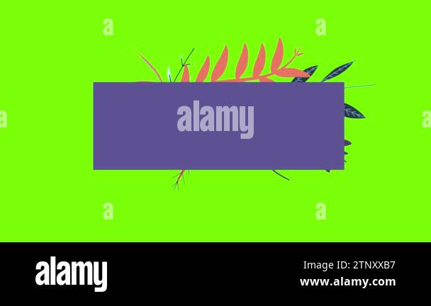 flower illustration vector animation background video graphics leaf ...