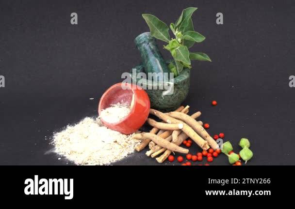 Ashwagandha Dry Root Medicinal Herb with Fresh Leaves, also known as ...