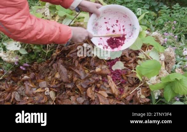 With food waste Stock Videos & Footage - HD and 4K Video Clips - Alamy