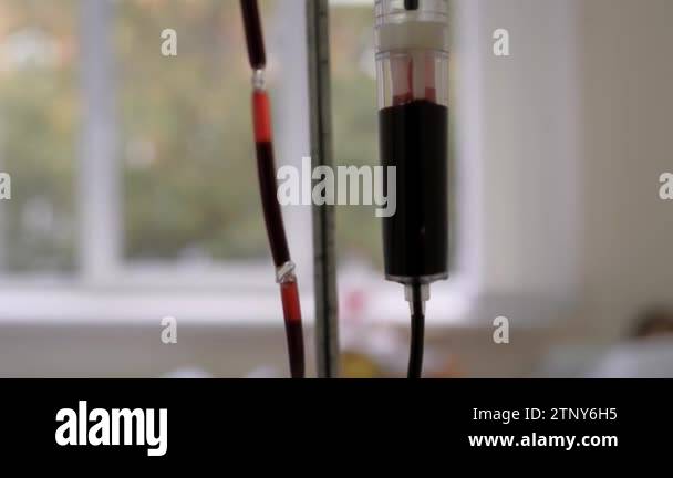 Blood drip hospital Stock Videos & Footage - HD and 4K Video Clips - Alamy