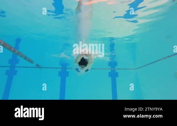 Woman athlete swims underwater in the pool. Slow motion of a female ...