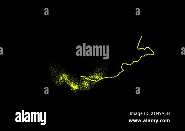 Mongolia digital map Stock Videos & Footage - HD and 4K Video Clips - Alamy