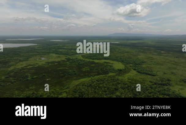 Beautiful view of protected wetlands area in the Philippines. Agusan ...
