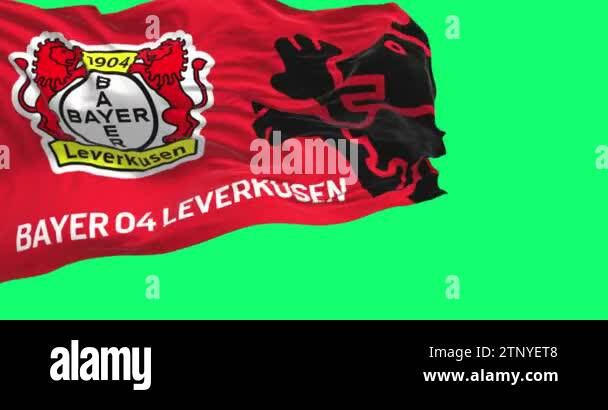 Leverkusen, DE, Aug 2 2023: Bayer Leverkusen flag waving isolated on a ...