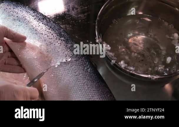 process of salting red fish salmon peel the fish from the husk cover it ...