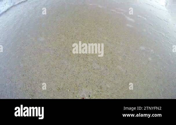 Clean white sand Stock Videos & Footage - HD and 4K Video Clips - Alamy