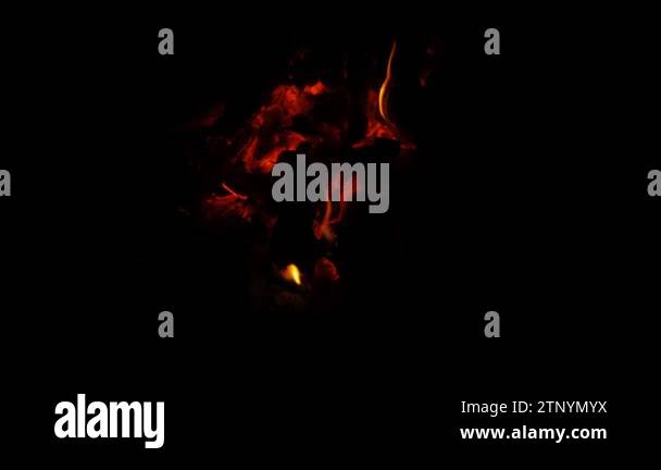 Ash only Stock Videos & Footage - HD and 4K Video Clips - Alamy