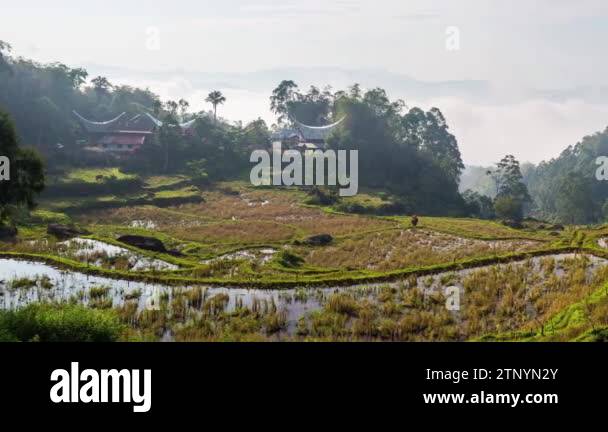 Beautiful idyllic location Stock Videos & Footage - HD and 4K Video ...
