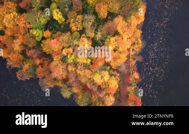 Fall colors in the bush Stock Videos & Footage - HD and 4K Video Clips ...