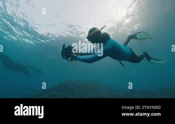 Underwater photographer takes picture of manta ray. Freediver with ...