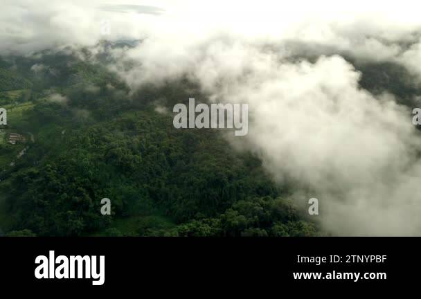 A breathtaking aerial scenery of lush green tropical rainforest ...
