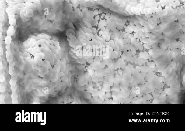 layers of white matter in a section Stock Video Footage - Alamy