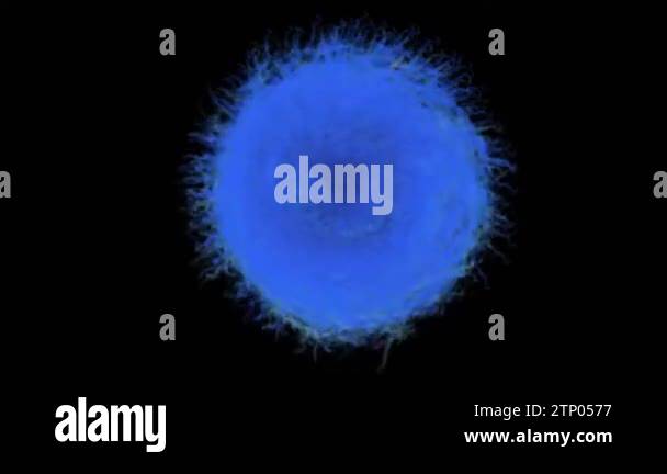 4k Abstract art float particles,cell debris dots eggs bacteria microbes ...