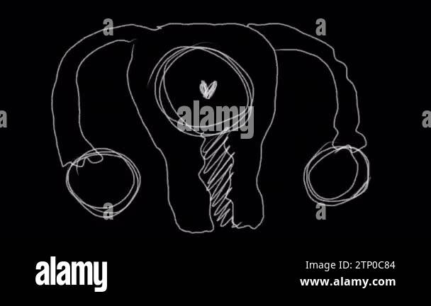 Doodle sketch animation of a rotating Uterus of a woman on a black ...