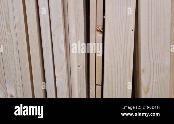 Folded boards close-up, straight cut. Wood boards in a hardware store ...