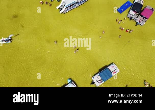 Wading swimming Stock Videos & Footage - HD and 4K Video Clips - Alamy