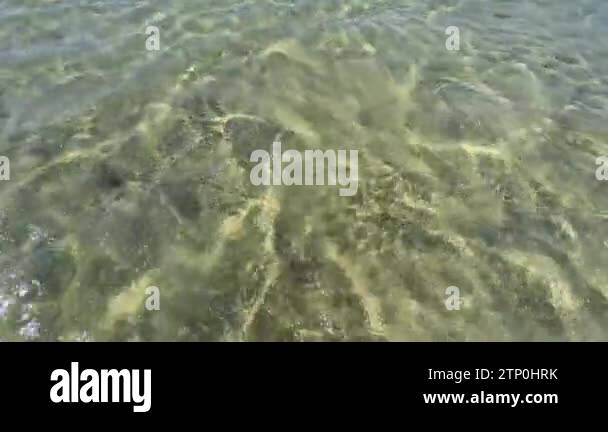 Enchanting Red Sea Underwater World with Swift Currents in Egypt. High ...