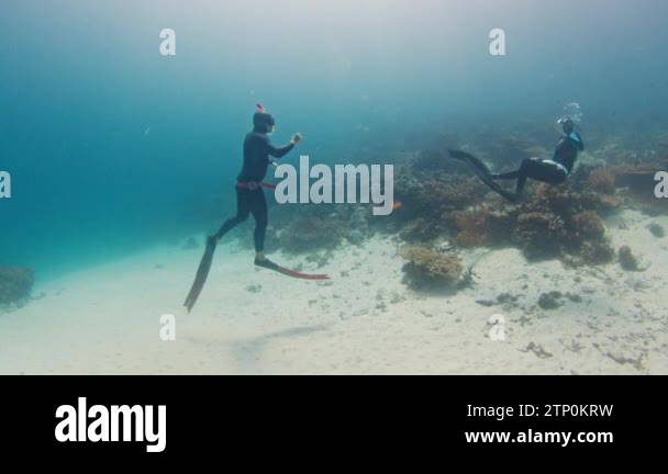 Underwater language. Freediving guide explains location of the sea eel ...