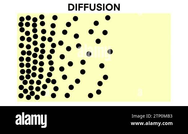 Labeled diagram atom Stock Videos & Footage - HD and 4K Video Clips - Alamy