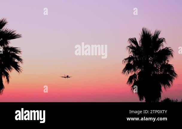 Landing plane against background of multi-colored blue sunset sky with ...