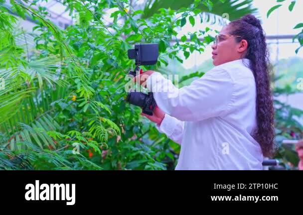 Woman photographer in the exotic jungle greenhouse. Semi professional ...