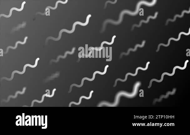 Animated 3d White color squiggly line pattern background Stock Video ...