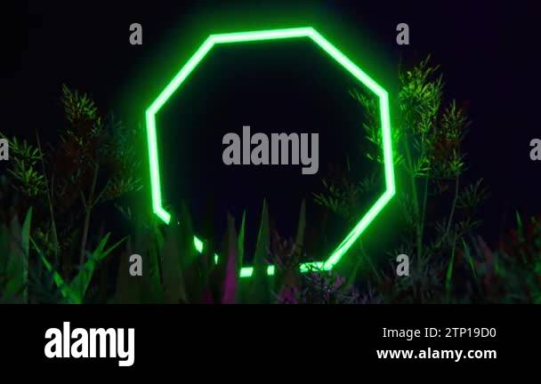 Green neon octagonal light among tropical jungle. Loop 3d animation ...