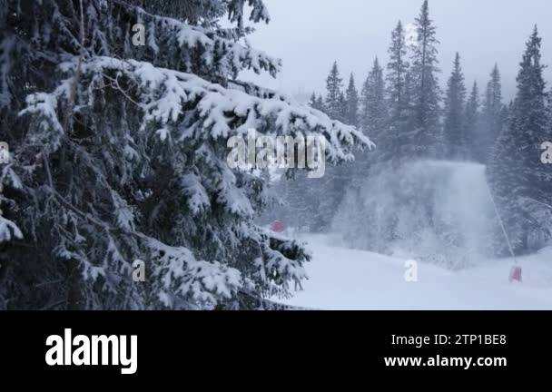 Snow jet ski Stock Videos & Footage - HD and 4K Video Clips - Alamy