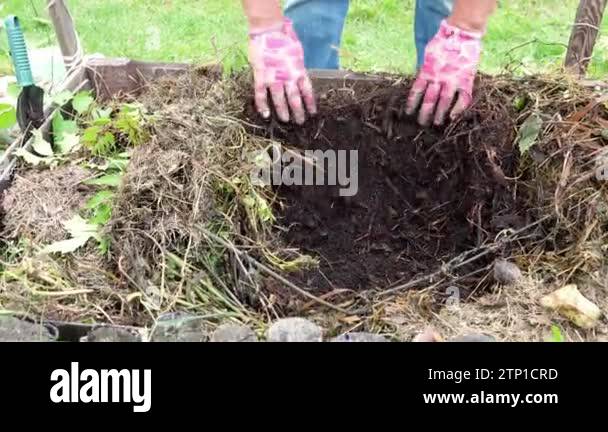 gardeners hands composting food waste in garden compost bin, mixing ...